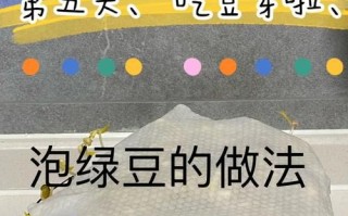 绿豆芽怎么种_绿豆芽几天能发芽