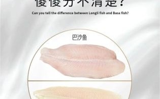 龙利鱼是海鱼还是淡水鱼_龙利鱼产地在哪里