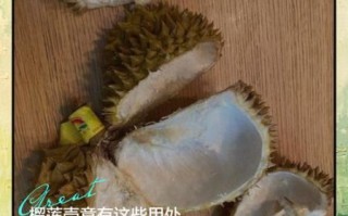 榴莲壳的功效与作用_榴莲壳怎么利用