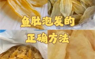 鱼肚怎么发好_鱼肚泡发多久才软