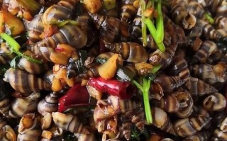 螺丝菜怎么做好吃_螺丝菜的做法大全