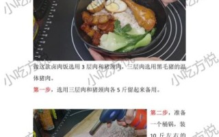 台湾卤肉怎么做_正宗卤肉饭配料