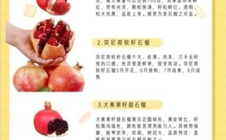 石榴的药用价值有哪些_石榴的功效与作用及禁忌