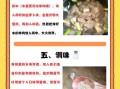 煮羊肉最简单的做法_羊肉焯水还是不焯水