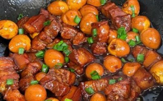 家常肉菜100道怎么做_哪些适合新手