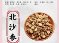 北沙参产地在哪里_北沙参哪里产的好