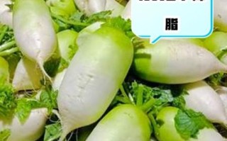 青萝卜什么时候种最好_青萝卜种植方法步骤