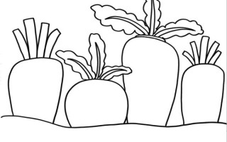 萝卜简笔画怎么画_萝卜简笔画图片大全集