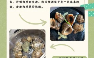 海螺煮多久才熟_海螺煮多长时间口感最佳
