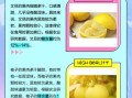 文旦的功效与作用_文旦和柚子有什么区别