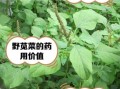 孕妇可以吃苋菜吗_苋菜的功效与作用孕妇