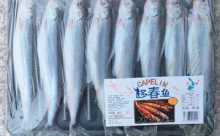 多春鱼价格多少钱一斤_多春鱼多少钱一斤