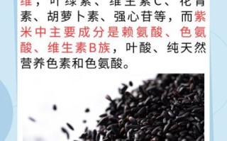黑米和紫米有什么区别_哪个更营养