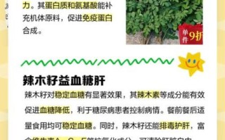 辣木籽怎么吃_辣木籽的正确吃法 辣木籽怎么吃_辣木籽的正确吃法