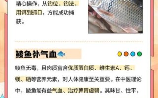 鲮鱼的功效与作用_鲮鱼的禁忌人群