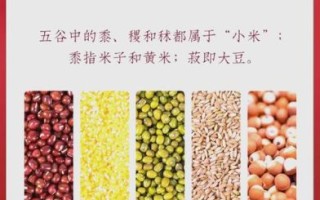 五谷丰登的登是什么意思_五谷丰登的登字由来