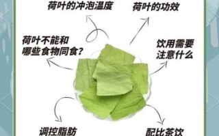 荷叶茶哪些人不能喝_荷叶茶副作用有哪些