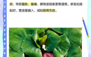 菱角不能和什么一起吃_菱角怎么吃才安全