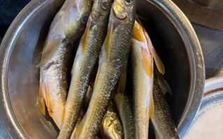 水煮清汤鱼怎么做_水煮清汤鱼的做法窍门