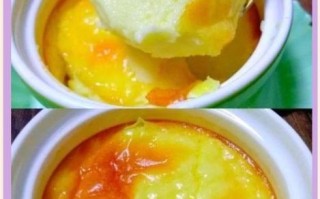 新手学做布丁_布丁失败原因有哪些