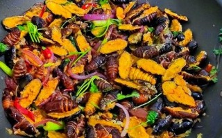 干炸东北蚕蛹怎么做_蚕蛹炸多久才酥脆