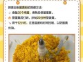 蛋黄粉的功效与作用禁忌_蛋黄粉什么人不能吃