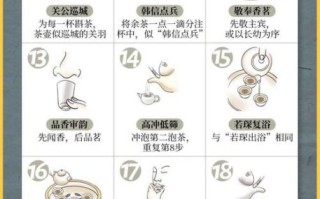 功夫茶怎么泡_功夫茶泡法步骤