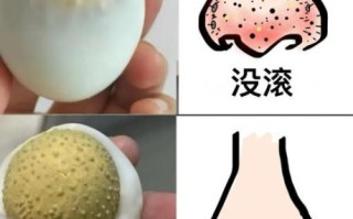 蛋清可以去黑头吗_蛋清去黑头有效吗