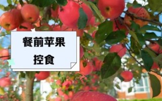 苹果一天吃几个最好_什么时候吃最健康