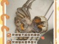螃蟹休眠和死的区别_如何判断螃蟹是死是活