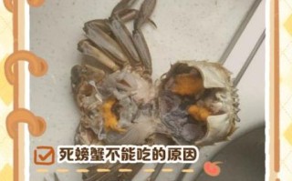 螃蟹休眠和死的区别_如何判断螃蟹是死是活