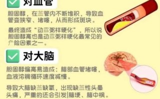 血脂稠的症状有哪些_血脂稠的危害是什么