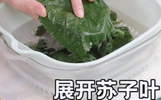 苏子叶怎么腌制好吃_苏子叶做法大全