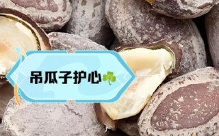 吊瓜子的营养价值_吊瓜子每天吃多少合适