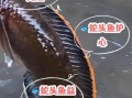 蛇鱼是什么_蛇鱼能吃吗