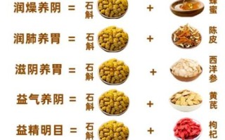 石斛炖汤配什么好_石斛炖汤有什么功效