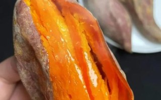 微波炉烤地瓜需要多长时间_微波炉烤地瓜怎么烤才软糯