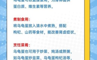 乌龟蛋的功效与作用_乌龟蛋怎么吃最好