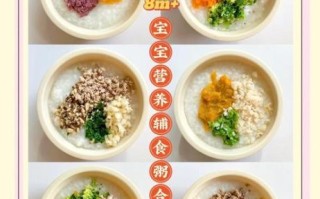 3岁宝宝营养粥怎么做_一周不重样食谱