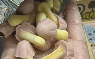 蘑古力是什么_蘑古力怎么做