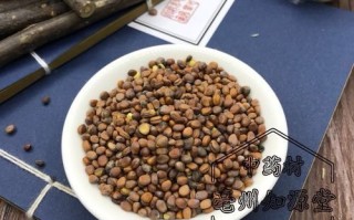 莱菔子是哪种萝卜籽_莱菔子与白萝卜籽区别