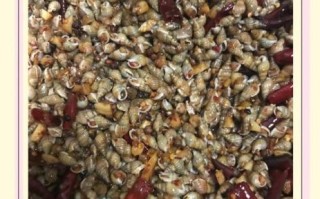 麻辣海螺怎么做_麻辣海螺的家常做法