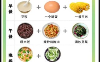 减肥餐吃什么好而且瘦的快_一周掉秤食谱