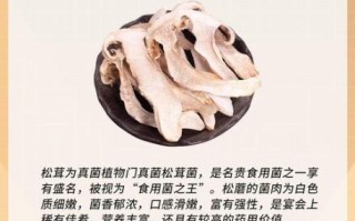 松茸的营养价值_松茸的功效与作用