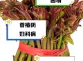 香椿对妇科有疗效吗_香椿怎么吃调理妇科