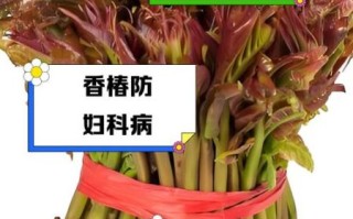 香椿对妇科有疗效吗_香椿怎么吃调理妇科