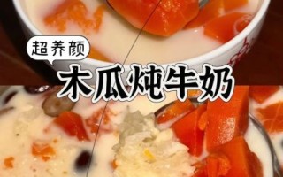 木瓜牛奶汤的做法_木瓜牛奶汤的功效
