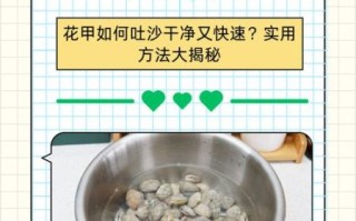 花甲怎么吐沙子_花甲吐沙子最快的方法