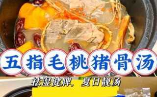 五指毛桃煲猪骨汤怎么做_五指毛桃猪骨汤的功效