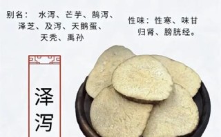 泽泻的功效与作用及禁忌_泽泻哪些人不能吃